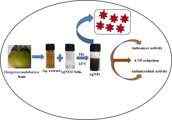 Nanomaterials | Free Full-Text | Green Synthesis of Silver Nanoparticles Using Diospyros ...