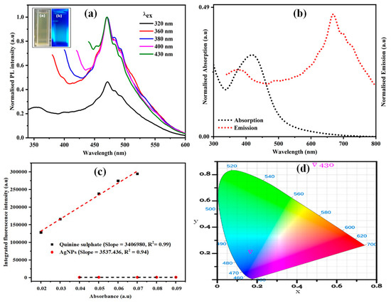 Green Synthesis of Silver Nanoparticles Using Diospyros malabarica Fruit Extract and Assessments ...