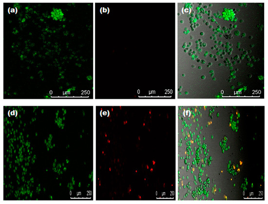 Green Synthesis of Silver Nanoparticles Using Diospyros malabarica Fruit Extract and Assessments ...
