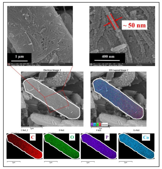 Nanomaterials | Free Full-Text | Co2P2O7 Microplate/Bacterial Cellulose ...