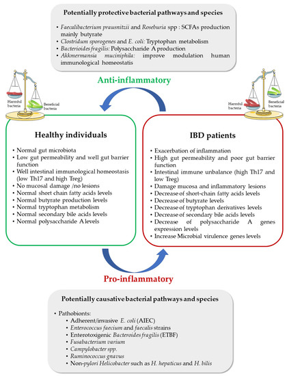 Drug Targeting of Inflammatory Bowel Diseases by Biomolecules
