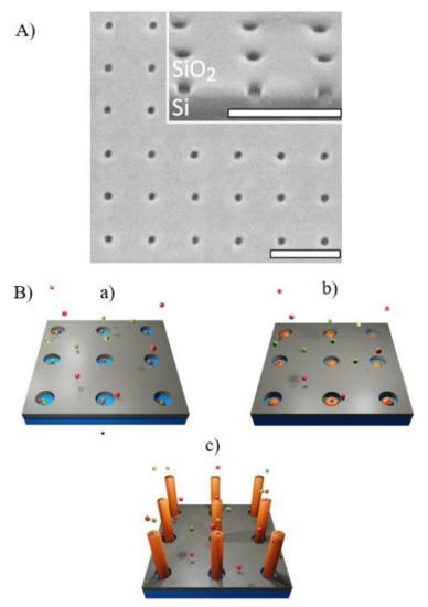Surface Nano-Patterning for the Bottom-Up Growth of III-V Semiconductor ...