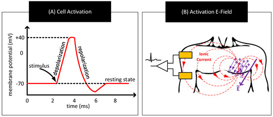 Human Body–Electrode Interfaces for Wide-Frequency Sensing and ...