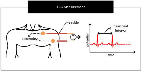 Human Body–Electrode Interfaces for Wide-Frequency Sensing and ...