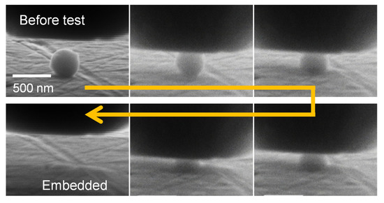 Fracture and Embedment Behavior of Brittle Submicrometer Spherical ...