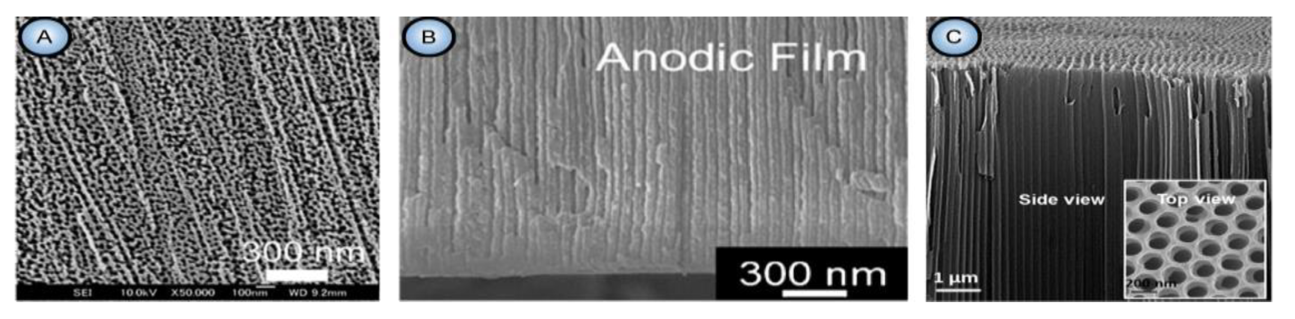 Conceptual Progress for Explaining and Predicting Self-Organization on ...