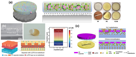 Surface-Functionalized Separator for Stable and Reliable Lithium Metal ...