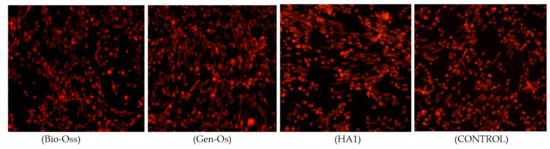 Nanomaterials | Special Issue : Novel Nano-Engineered Biomaterials for ...