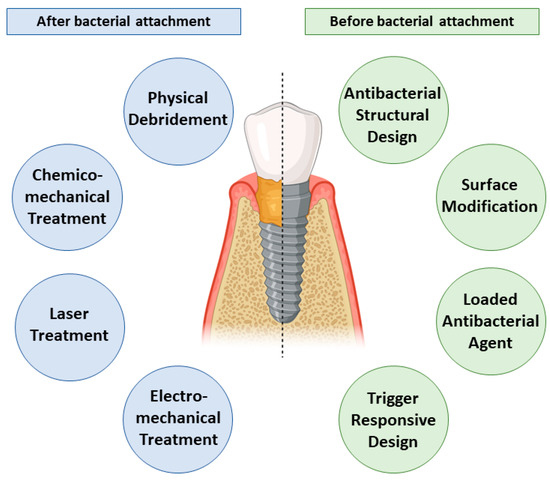 Microbial Decontamination and Antibacterial Activity of Nanostructured ...