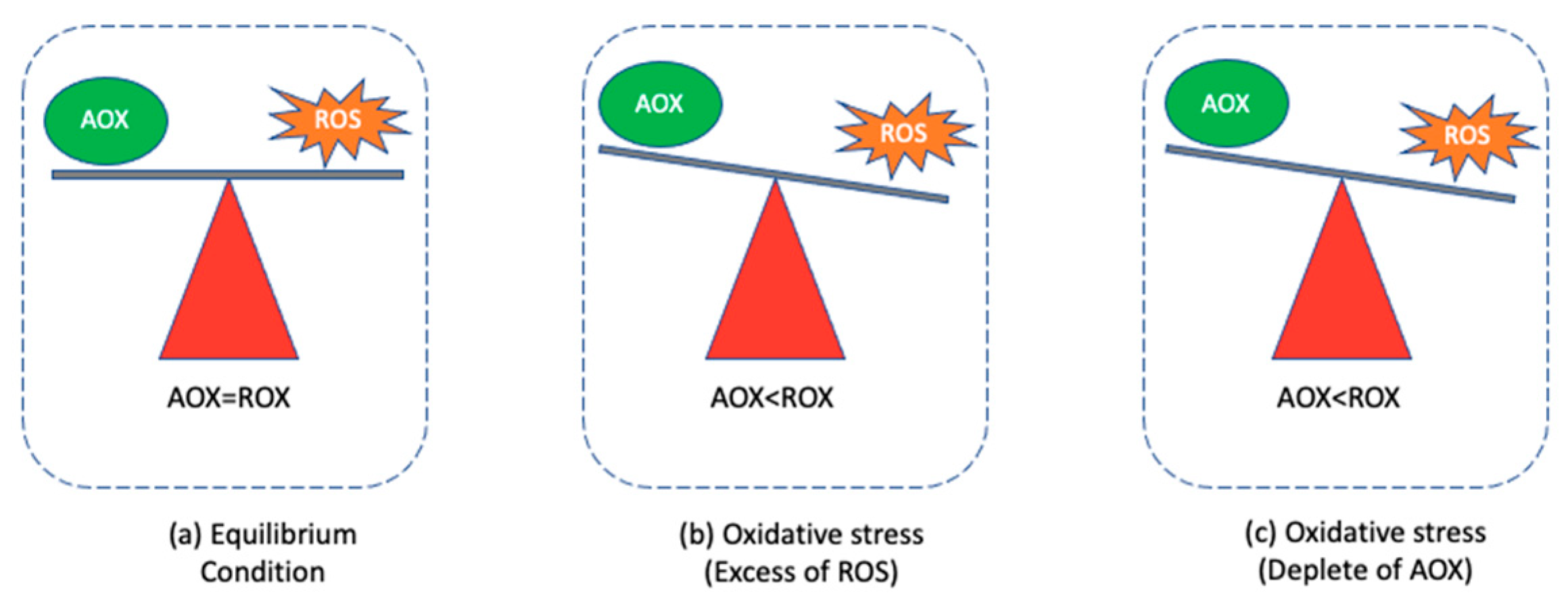 Influence of Titanium Dioxide Nanoparticles on Human Health and the ...