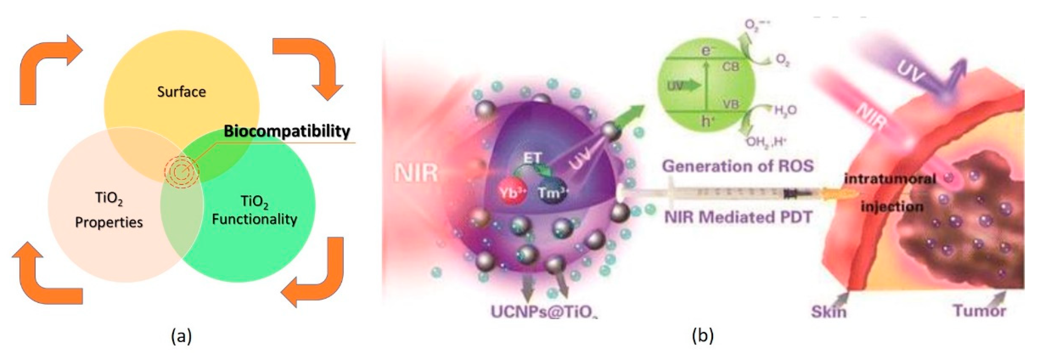 Influence of Titanium Dioxide Nanoparticles on Human Health and the ...