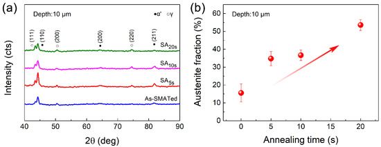 Gradient Microstructure Design in Stainless Steel: A Strategy for ...