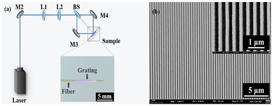 Self-Aligned Emission of Distributed Feedback Lasers on Optical Fiber ...