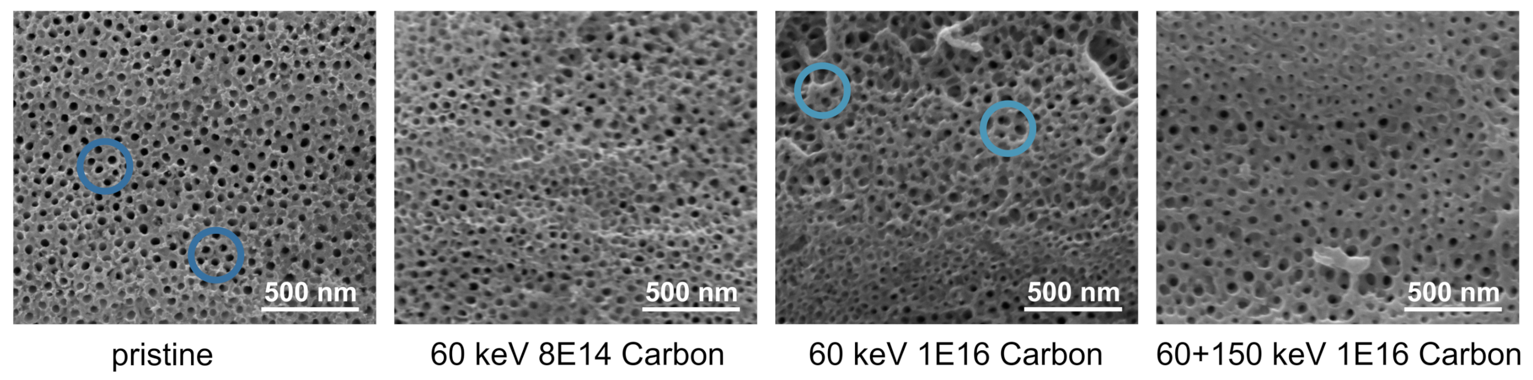 Carbon and Neon Ion Bombardment Induced Smoothing and Surface Relaxation of Titania Nanotubes