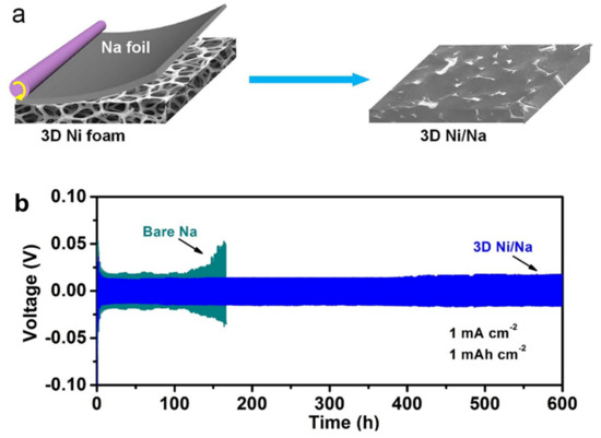 Growth Mechanism of Micro/Nano Metal Dendrites and Cumulative ...