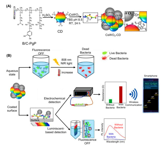 Carbon Dots: Classification, Properties, Synthesis, Characterization ...