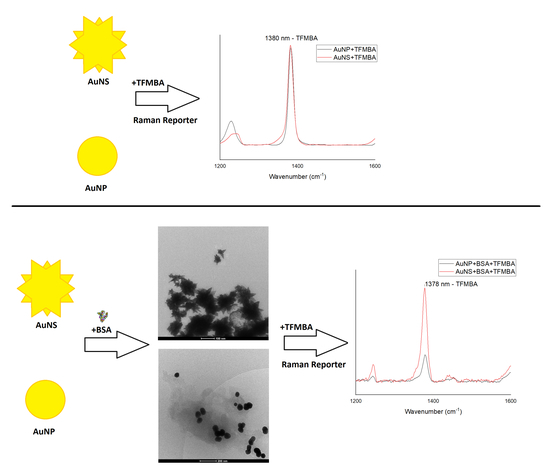 Nanomaterials | Free Full-Text | Gold Nanostars with Reduced Fouling ...