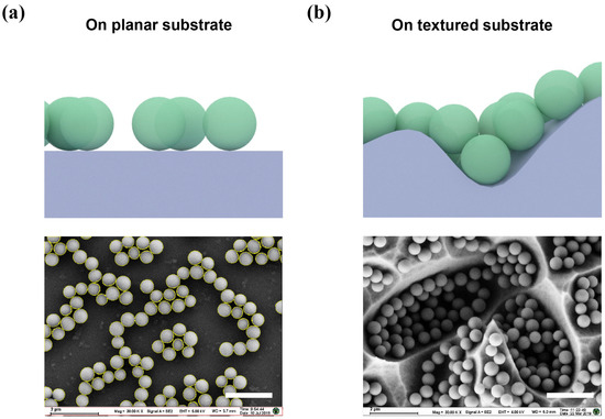Nanomaterials | Free Full-Text | Simple Self-Assembly Strategy of ...