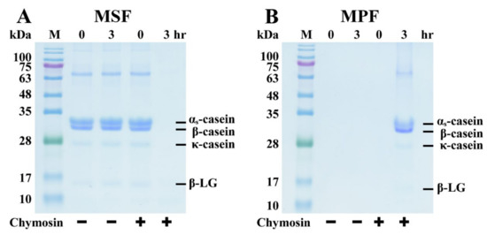 Influence of Chymosin on Physicochemical and Hydrolysis Characteristics ...