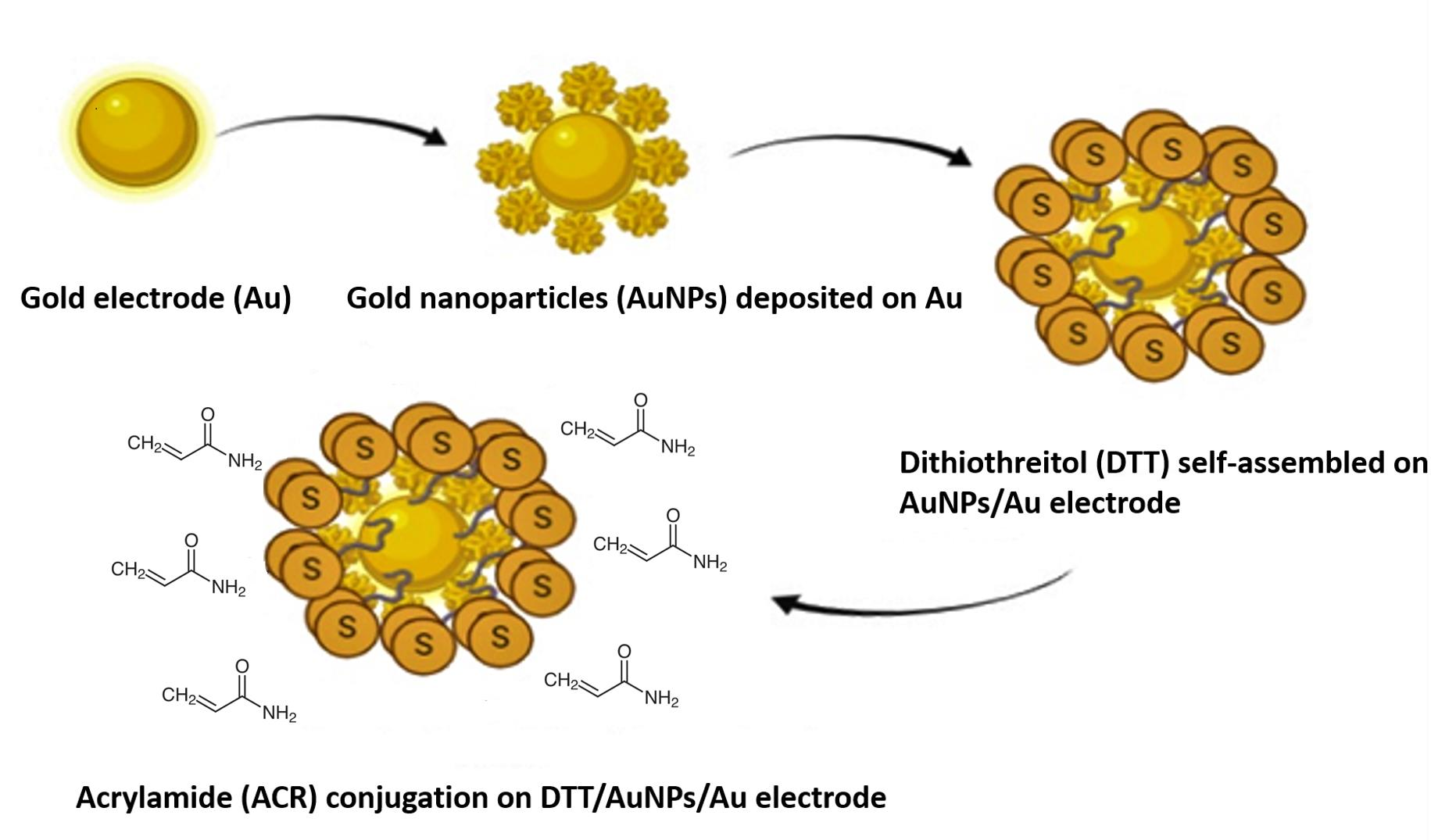 Nanomaterials | Free Full-Text | A Chemosensor Based on Gold ...