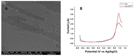 Nanomaterials | Free Full-Text | A Chemosensor Based on Gold ...