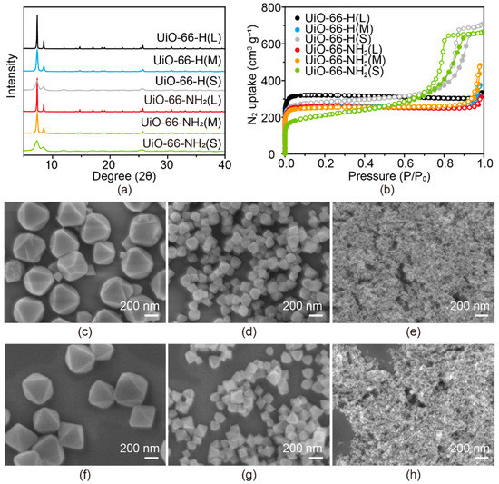 Comparing Internal and Interparticle Space Effects of Metal–Organic ...