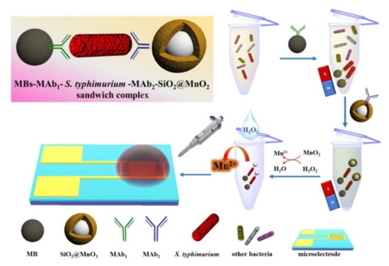 Nanomaterials | Free Full-Text | Advances in Nanomaterials-Based ...