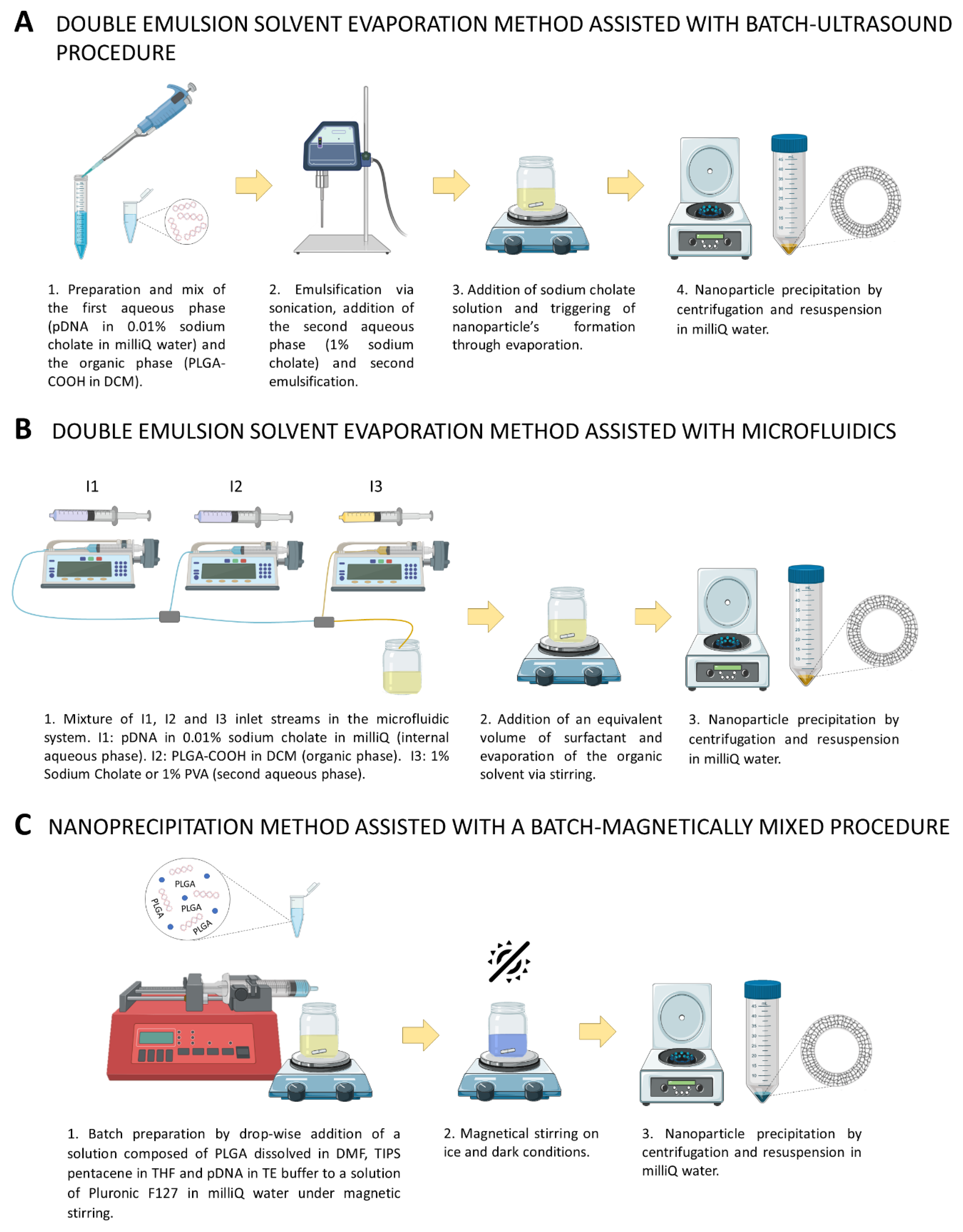 Encapsulation of Large-Size Plasmids in PLGA Nanoparticles for Gene ...