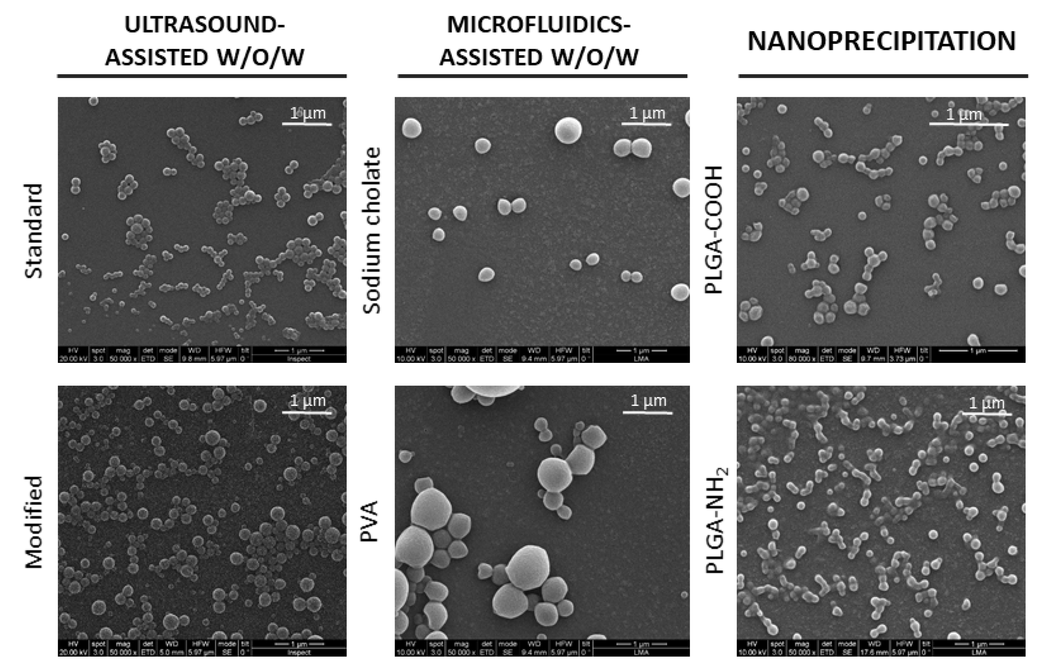Encapsulation of Large-Size Plasmids in PLGA Nanoparticles for Gene ...