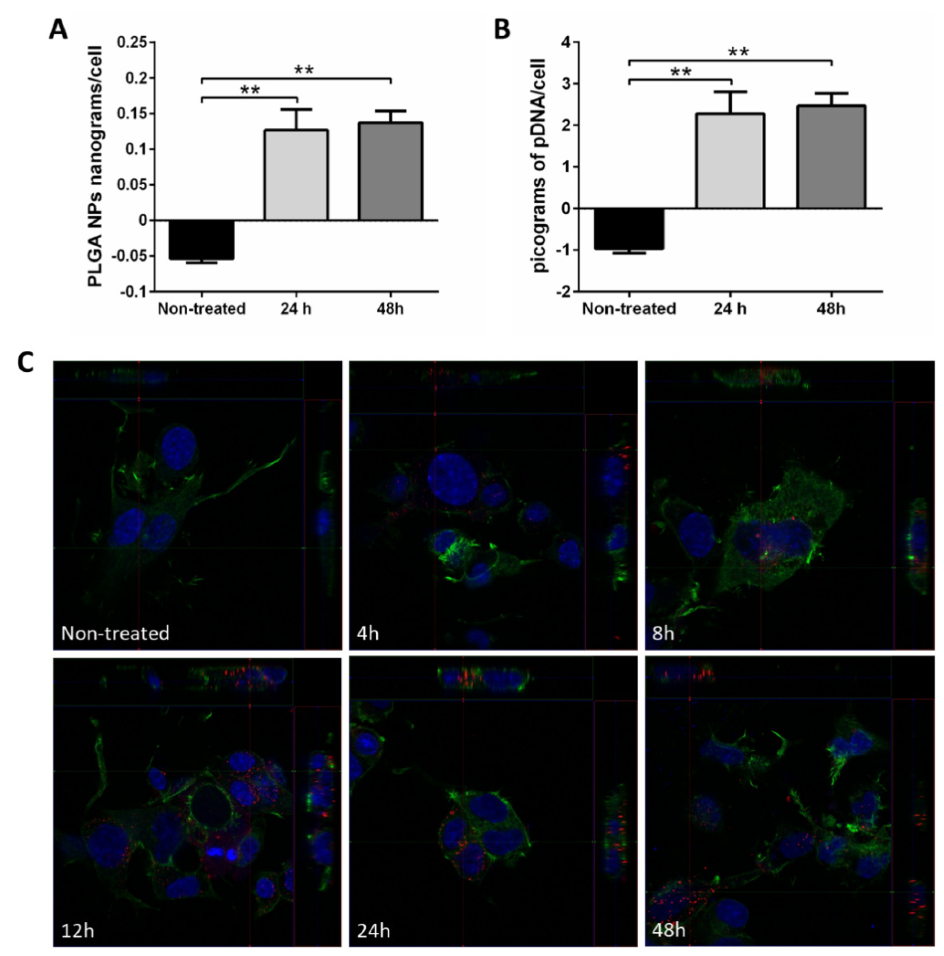 Encapsulation of Large-Size Plasmids in PLGA Nanoparticles for Gene ...