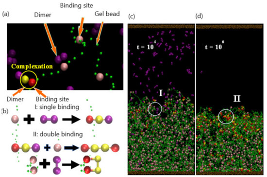 Nanomaterials | Free Full-Text | Using Dissipative Particle Dynamics to Model Effects of ...