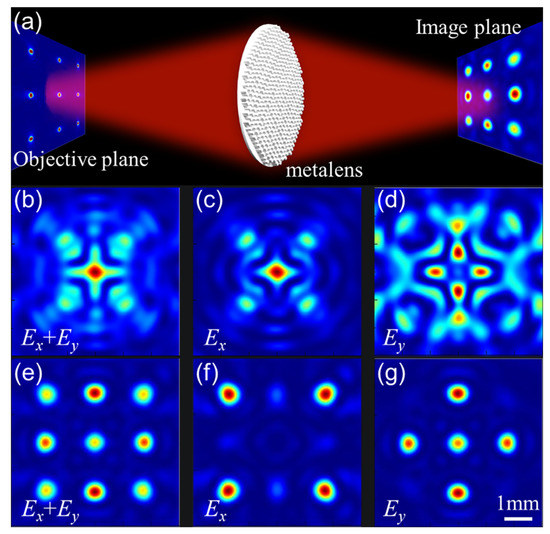 Spherical Aberration-Corrected Metalens for Polarization Multiplexed Imaging