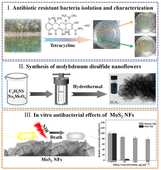 Functionalized MoS2 Nanoflowers with Excellent Near-Infrared ...