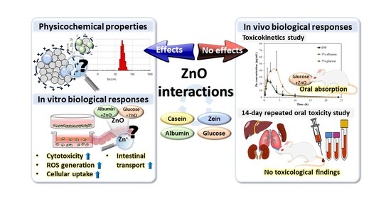 Nanomaterials | Free Full-Text | Interaction between ZnO Nanoparticles and Albumin and Its ...