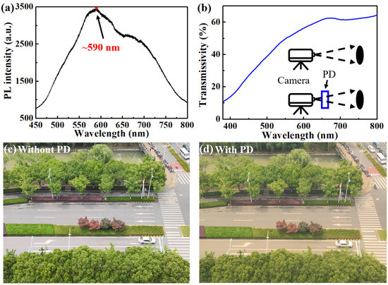 A Self-Powered Transparent Photodetector Based on Detached Vertical (In ...