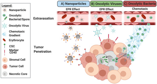 The Evolution and Future of Targeted Cancer Therapy: From Nanoparticles ...