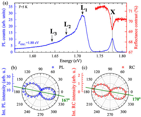 Anisotropic Optical and Vibrational Properties of GeS