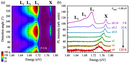 Anisotropic Optical and Vibrational Properties of GeS