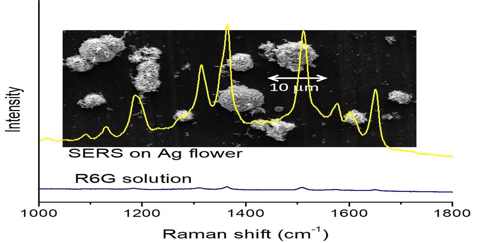 Nanomaterials | Free Full-Text | Silver Flowerlike Structures for ...