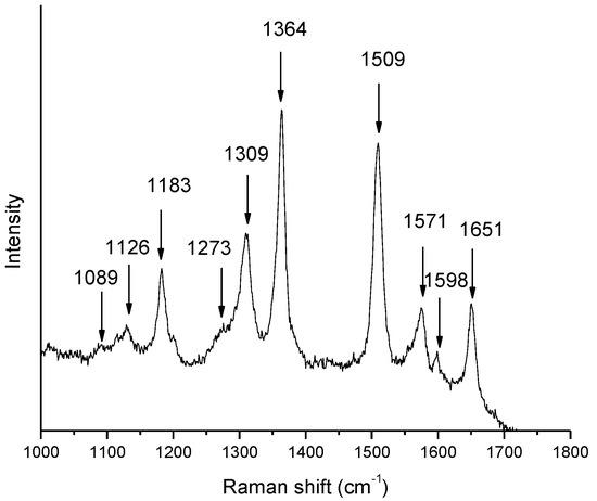 Silver Flowerlike Structures for Surface-Enhanced Raman Spectroscopy