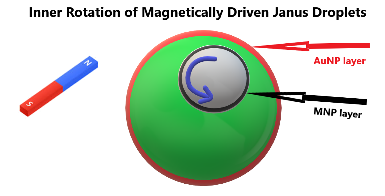 Nanomaterials | Free Full-Text | Inner Rotation of Pickering Janus ...