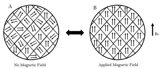 A Comprehensive Updated Review on Magnetic Nanoparticles in Diagnostics