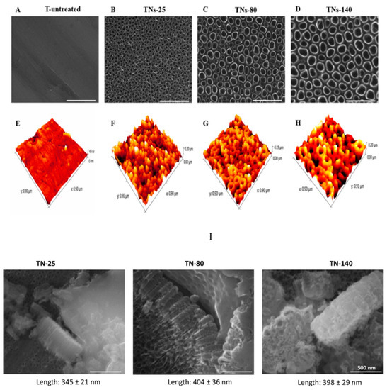 Nanomaterials | Free Full-Text | Nanostructured Modifications of ...