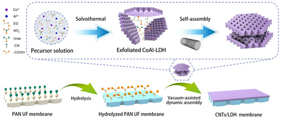 CNTs Intercalated LDH Composite Membrane for Water Purification with ...