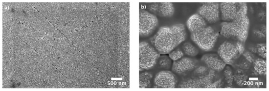 Electrochemically Fabricated Surface-Mesostructured CuNi Bimetallic ...