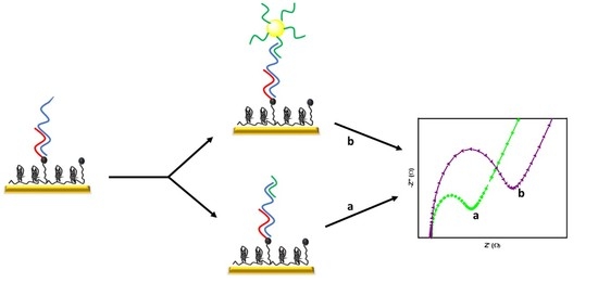 Nanomaterials | Free Full-Text | Au Nanoparticle-Based Amplified DNA ...