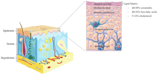 Nanodelivery Strategies for Skin Diseases with Barrier Impairment ...