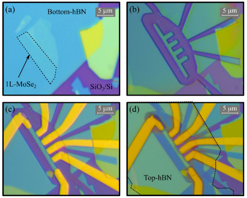 The Low-Temperature Photocurrent Spectrum of Monolayer MoSe2: Excitonic ...