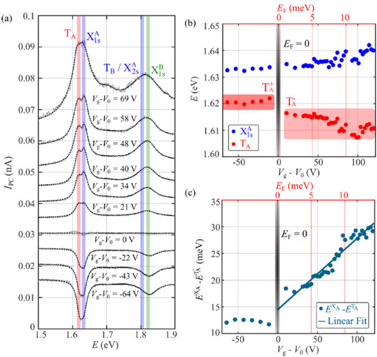 The Low-Temperature Photocurrent Spectrum of Monolayer MoSe2: Excitonic ...