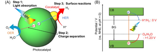 Development and Functionalization of Visible-Light-Driven Water ...
